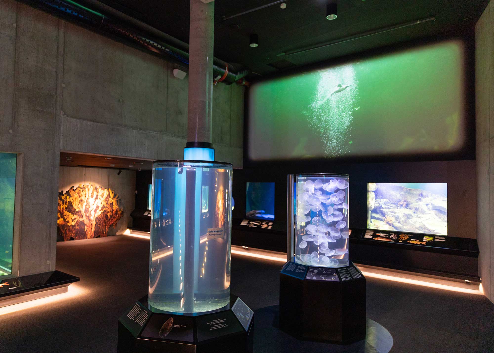 Plan 1 - Baltic Sea Science Center